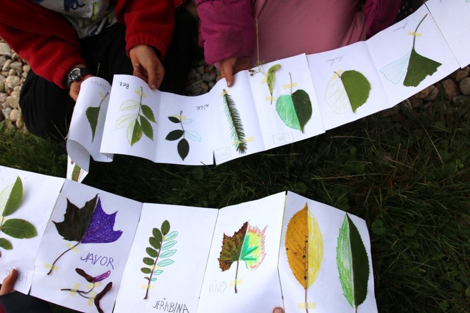 LISTÍ, KTERÉ UČÍ, téma nejen pro podzimní čas.