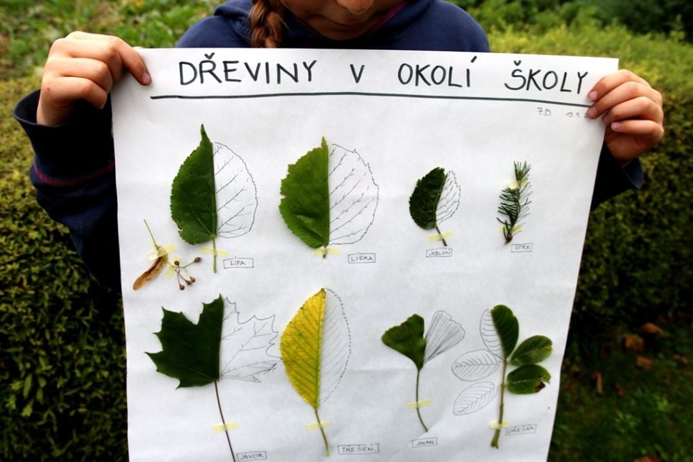 LISTÍ, KTERÉ UČÍ, téma nejen pro podzimní čas.